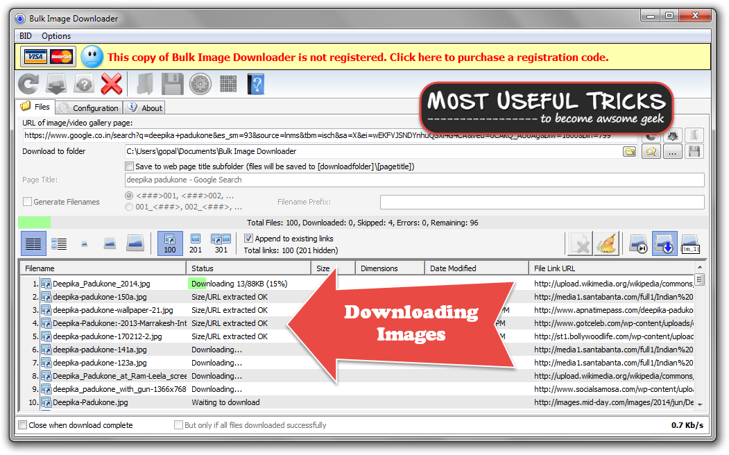 How to Download All Images from Google Image Search at Once