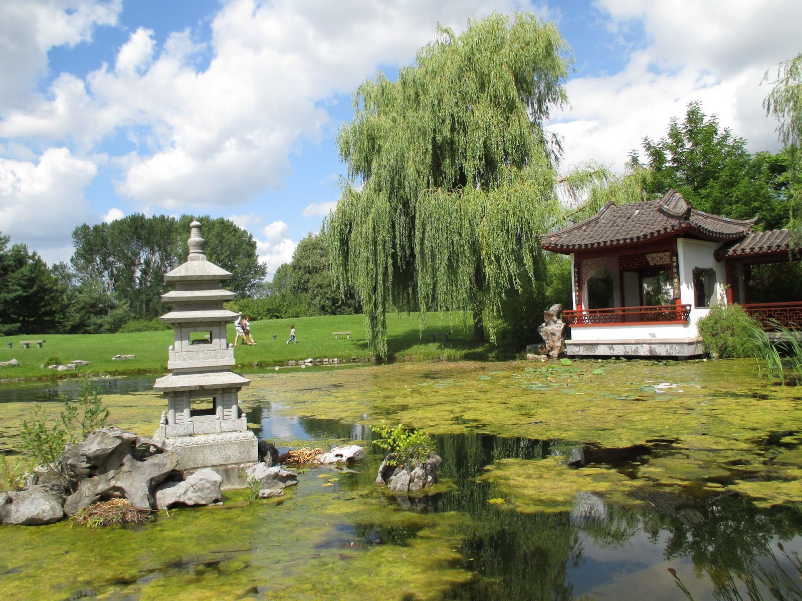 Whipped Cream avec les Framboises