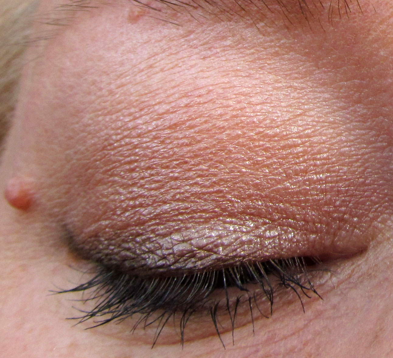 Bon Vivant Beauty: Lancome Sparkling Champagne Holiday Collection LE ...