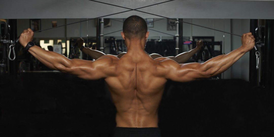 10 Best Muscle-Building Back Exercises! - Lifestyle and Traveling