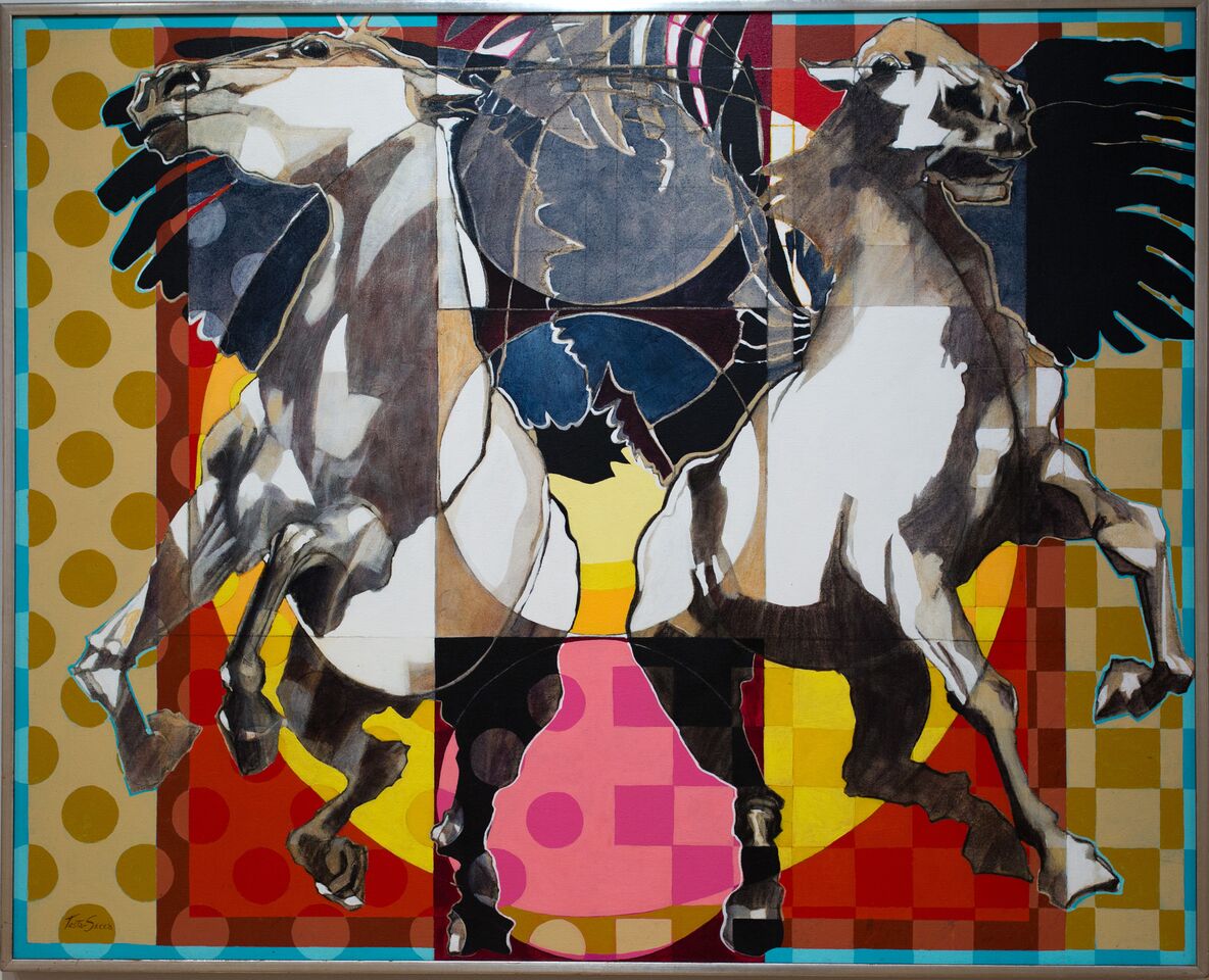 get visual: Joe Testa-Secca at University of Tampa