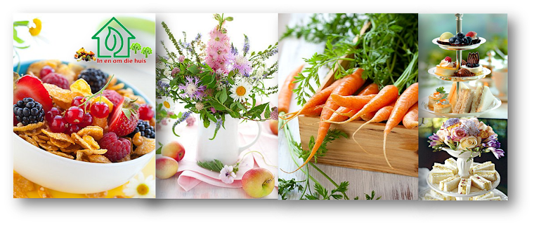 In en om die huis: Melk Ysies