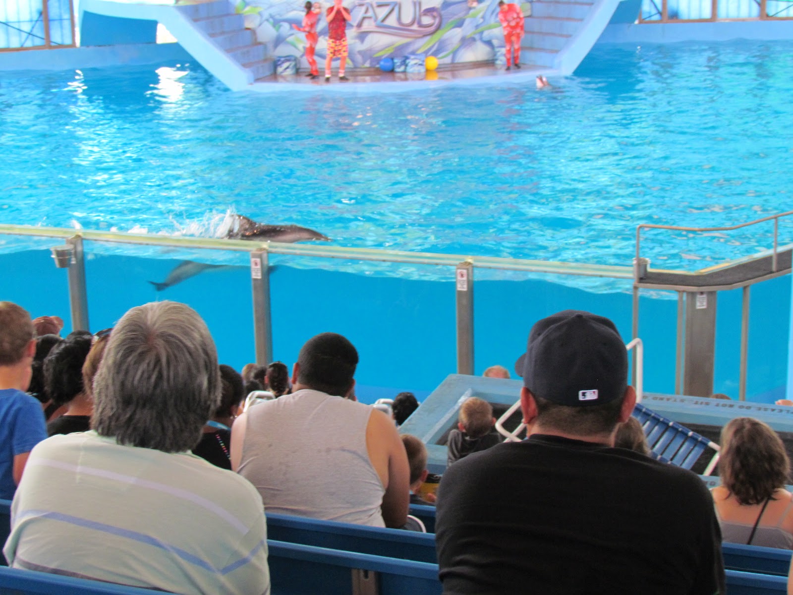 The Nelsons: Sea World - Azul
