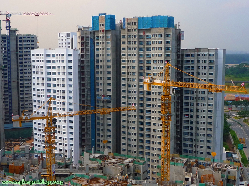 Zai@Sengkang: Fernvale Ridge Snapshot (Completed)