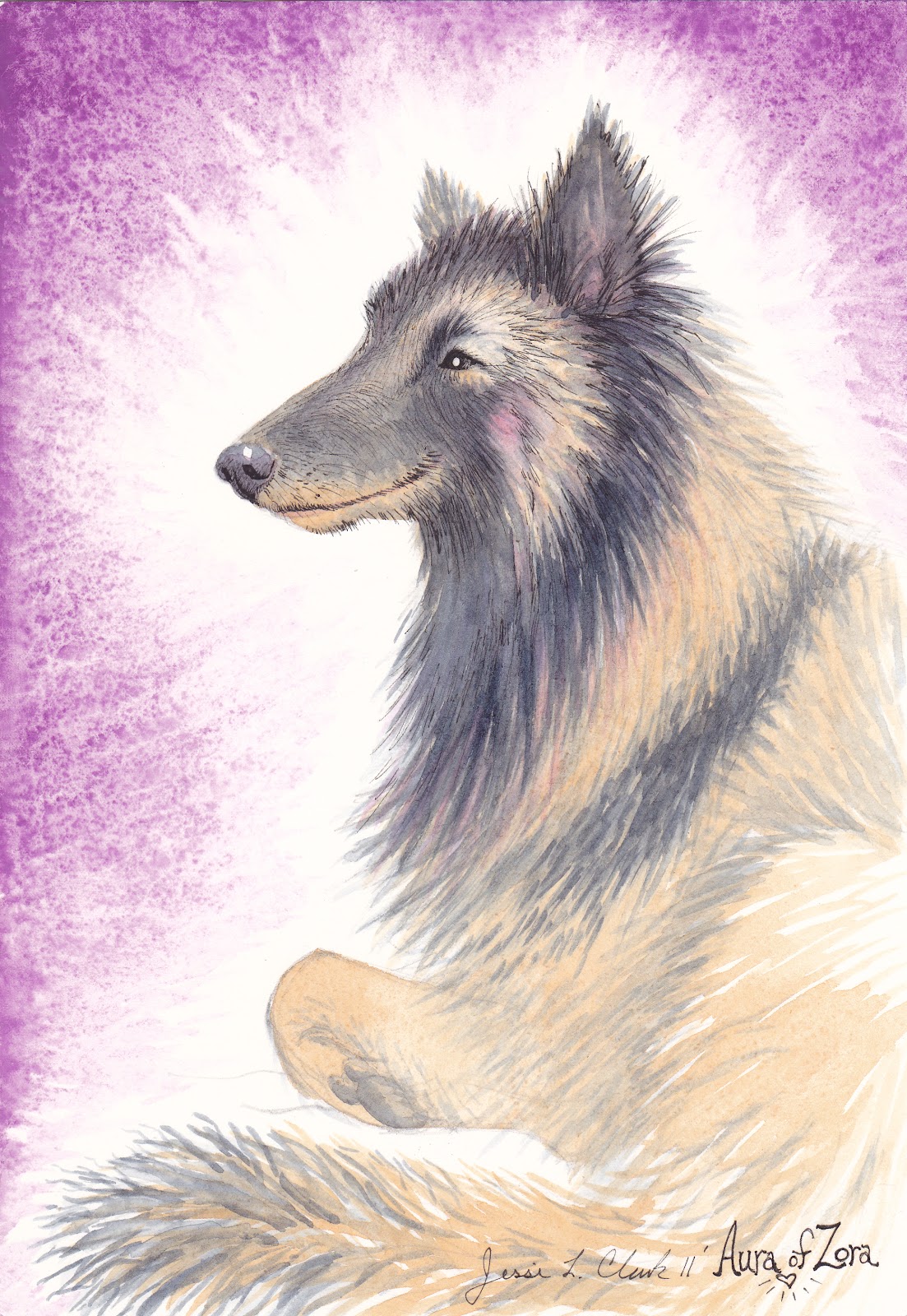 Jessica Lynn Clark - Illustration: Remember Romeo the Wolf