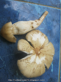 Rudi Santosa: Supa Suung