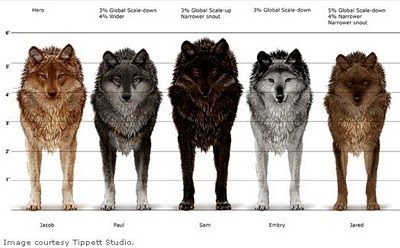 TWILIGHT: TRIBO QUILEUTE - DA REALIDADE À FICÇÃO