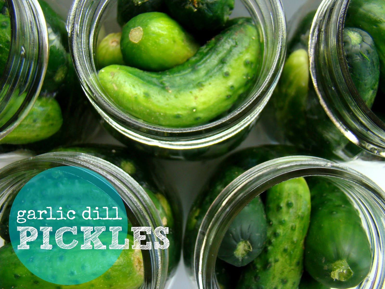Garlic dill pickles