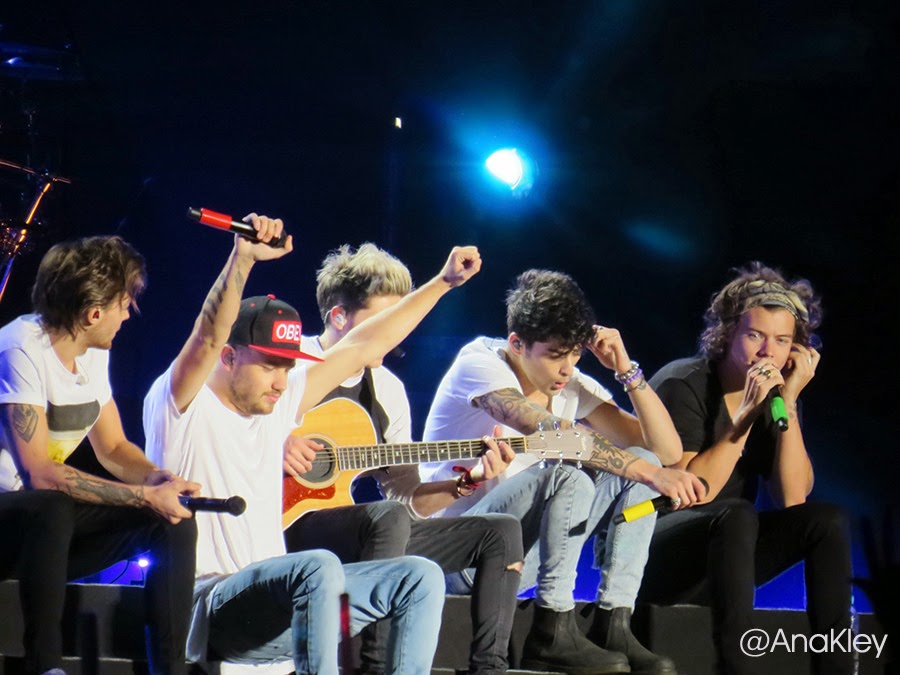 Viciadas por One Direction: Último Show do One Direction no Brasil