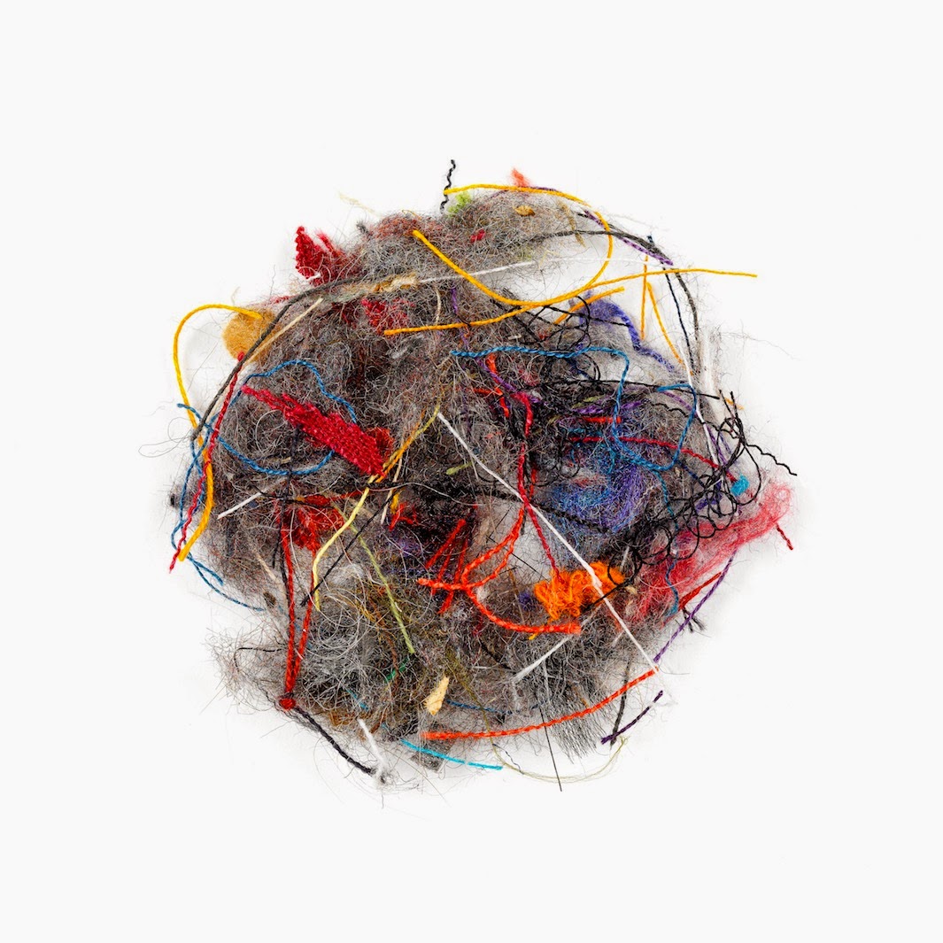 Matt Of All Trades: Dust Bunnies Are Beautiful! Really!