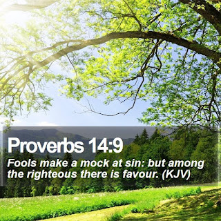 preachbrotherbob: How Proverbs Describes A Fool