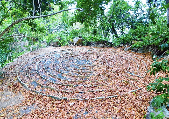 My Roatan - Adventures in Creating Nirvana: morning walk to the labyrinth