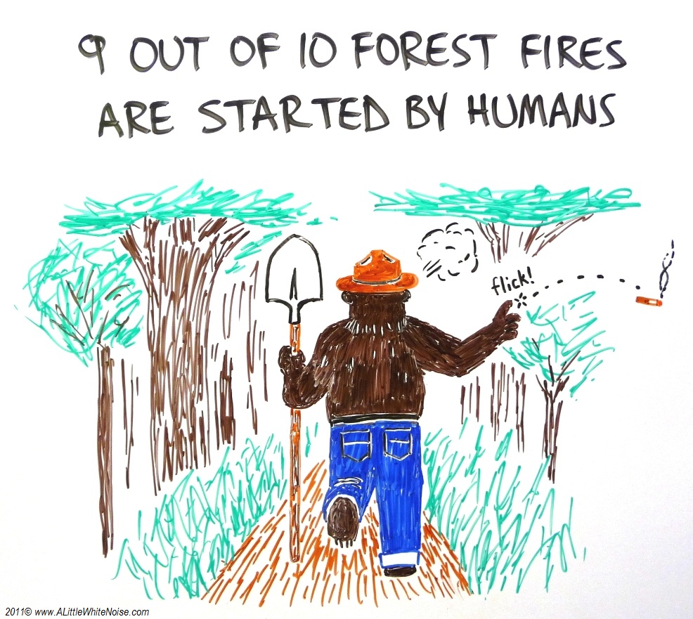White Noise: Interesting fact about forest fires