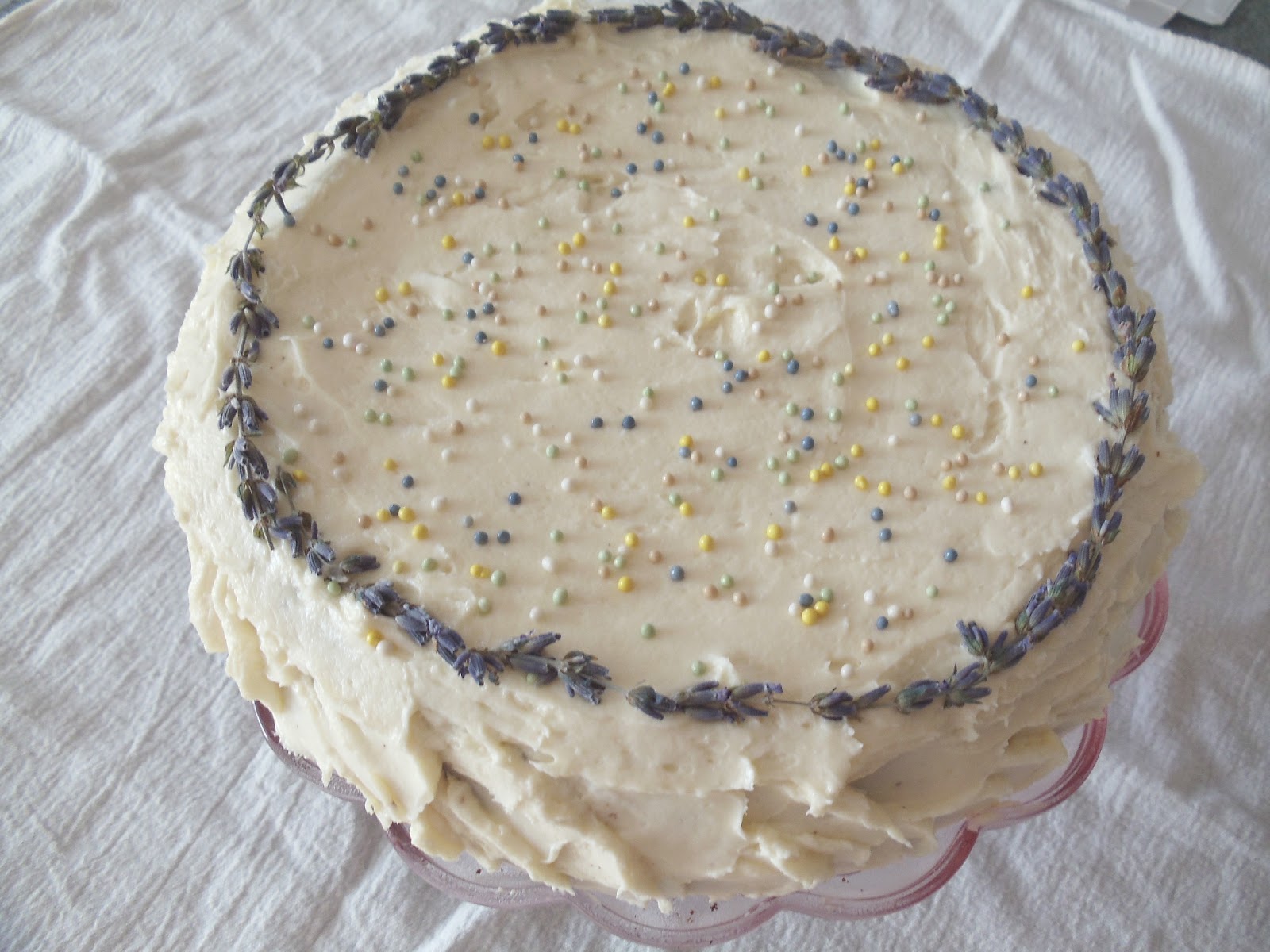 Blossoms and bundles: We got a farm cat!... Kind of.