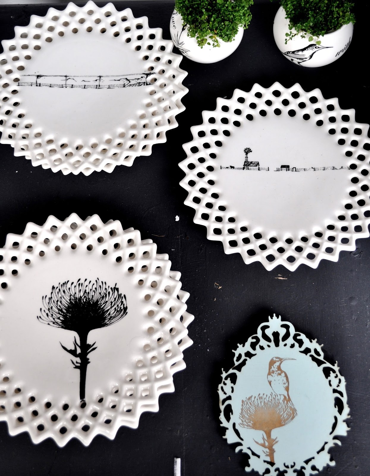 Tamarillo shop window