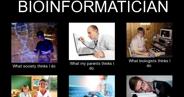 Bioinformaticians Bioinformatician | Description | Requirements ...