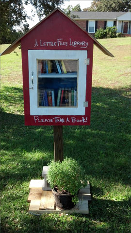 Lefty Flip: Libraries I love