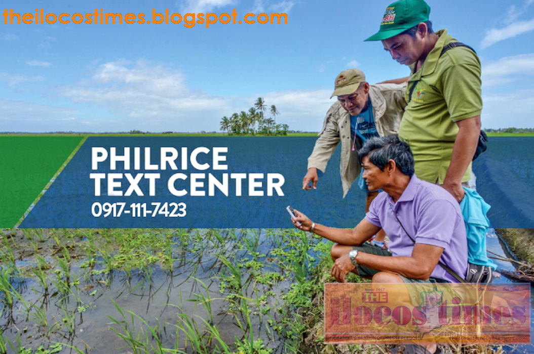 PhilRice launches new farmers’ helpline