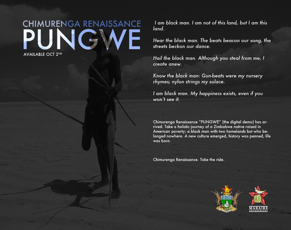 Chimurenga Renaissance: PUNGWE Mixtape to Download