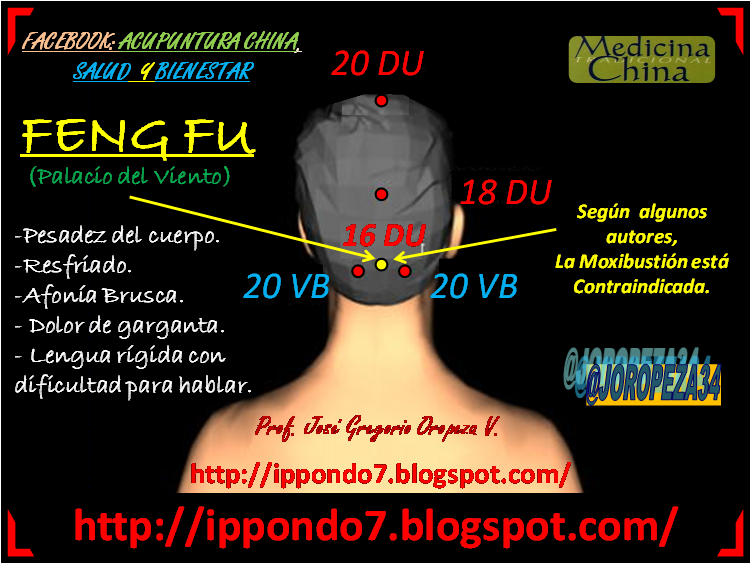 ACUPUNTURA CHINA, SALUD Y BIENESTAR: FENG FU