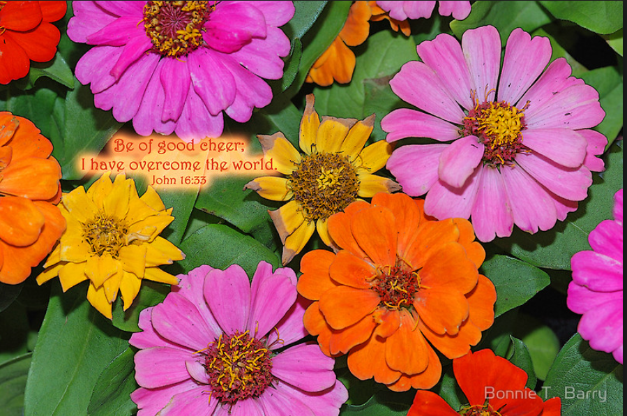 Living in the Shadow of His Hand: Be of Good Cheer