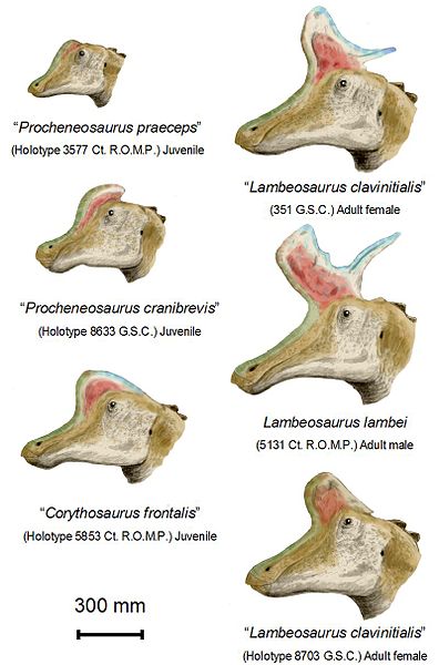 Mesozoic Musings at Jurassic Forest: L is for Lambeosaurus