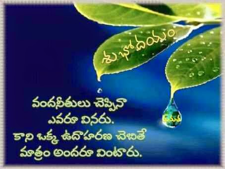 TELUGU BASHA: Telugu quotes