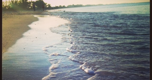 Florida Beaches To The Bering Sea: Ebb and Flow