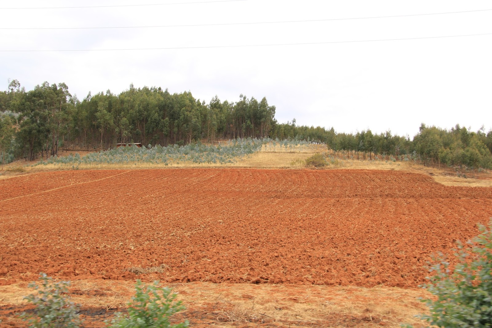 CAJAMARCA AL PASO: NAMORA, LA TIERRA COLORADA