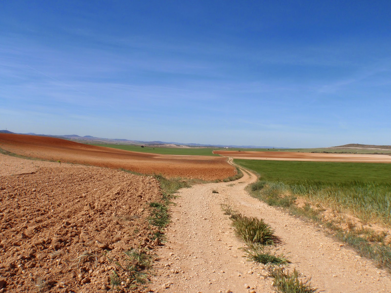 Joan Montoya: CAMINO DE SANTIAGO - CAMINO DE LEVANTE