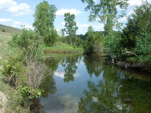 Urban Dragon Hunters: Spring Mill Pond area - revisited