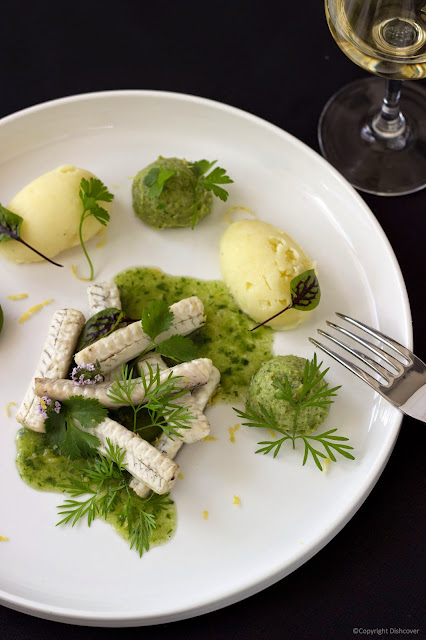 Meivis in ‘t groen - Dishcover