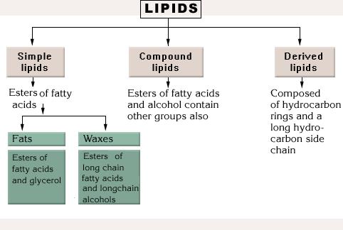 Get Chemistry Help: List of Chemical Compounds