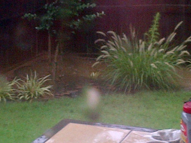 My Review of Southern Signature Landscape LLC