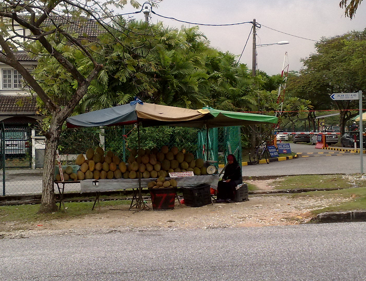Durian Info: Durian: The Perfectly Unique Tropical Fruit Crowned As ...