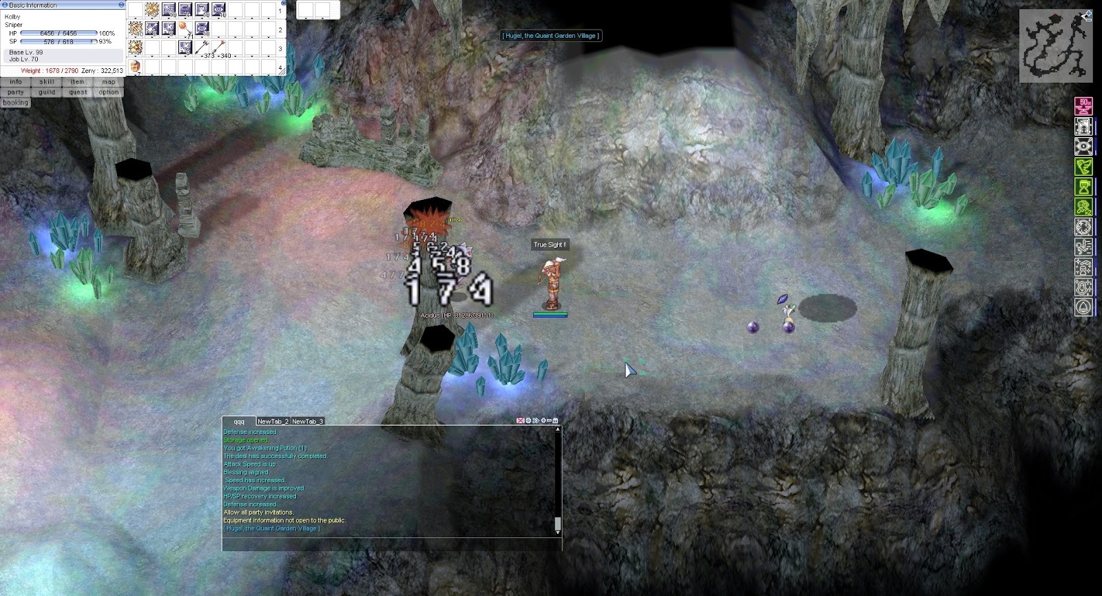 Ragnarok Online Guide: Ragnarok Online Sniper PVM Build 99/70