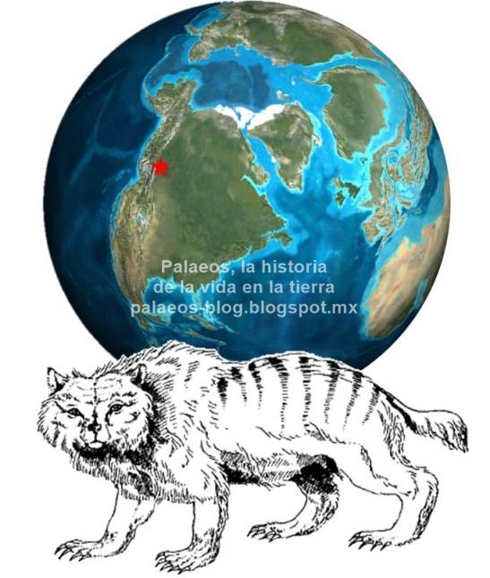 Palaeos, la historia de la Vida en la Tierra: ¿Sabías que? Osos 1