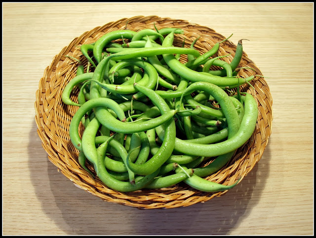 Mark's Veg Plot: Climbing French Bean "Cobra"