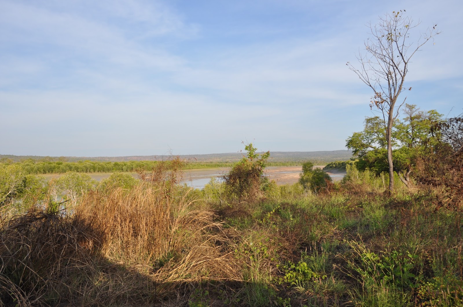 BarbaraTVan: BARBARA'S KIMBERLEY ADVENTURE - THE GIBB RIVER ROAD TO ...