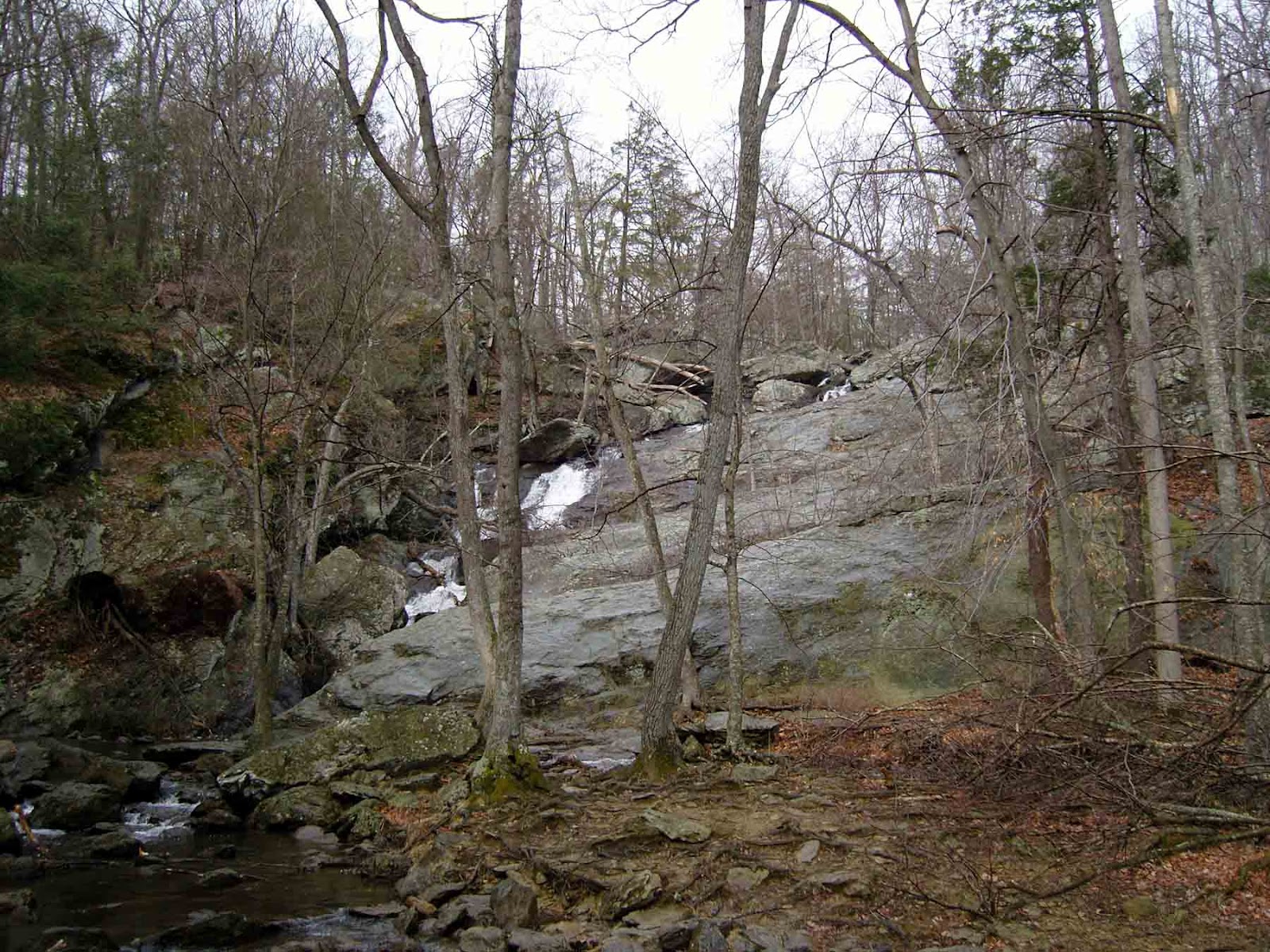 Black Forest Bushcraft: Photography