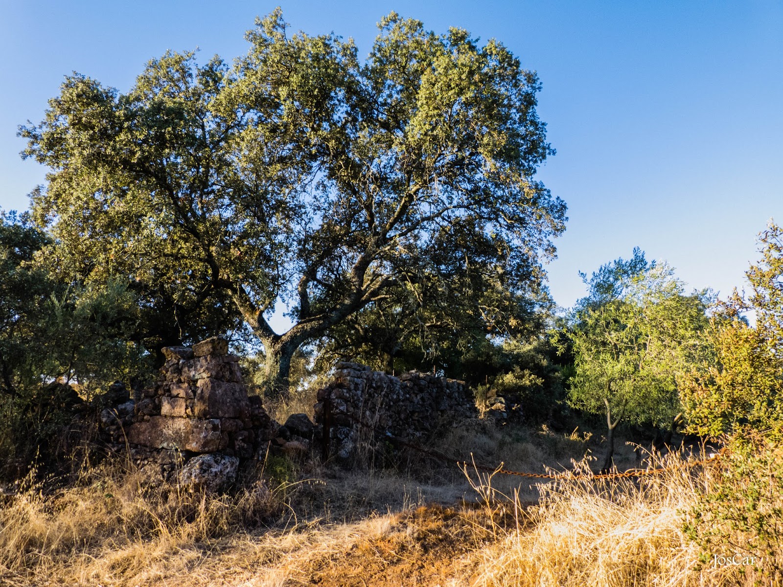 Las fotos de JosCar: 20171007 - DC - Ruta de Mohino a Algallarin y Adamuz