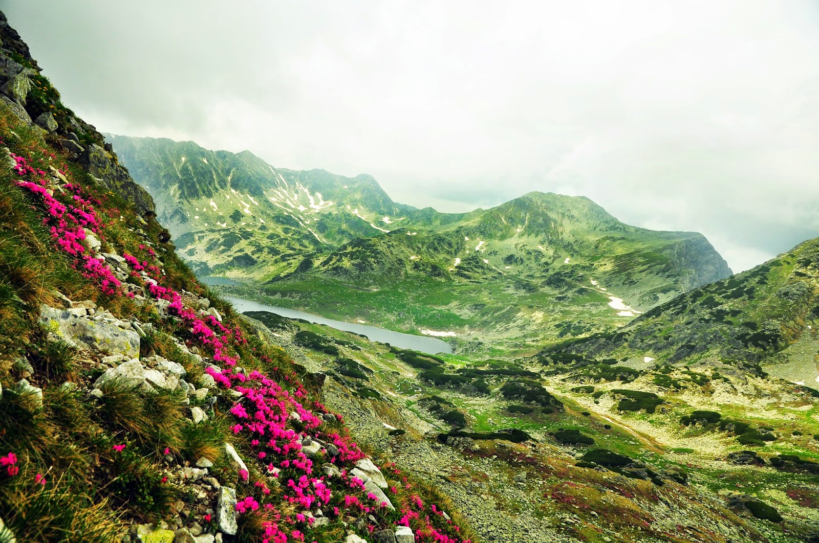 Parcuri Nationale din Romania - Prin Lume Prin Gânduri