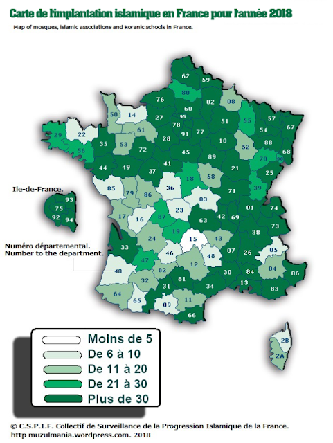 L'Islam pour les Nuls: Atlas des Zones urbaines sensibles (Zus)