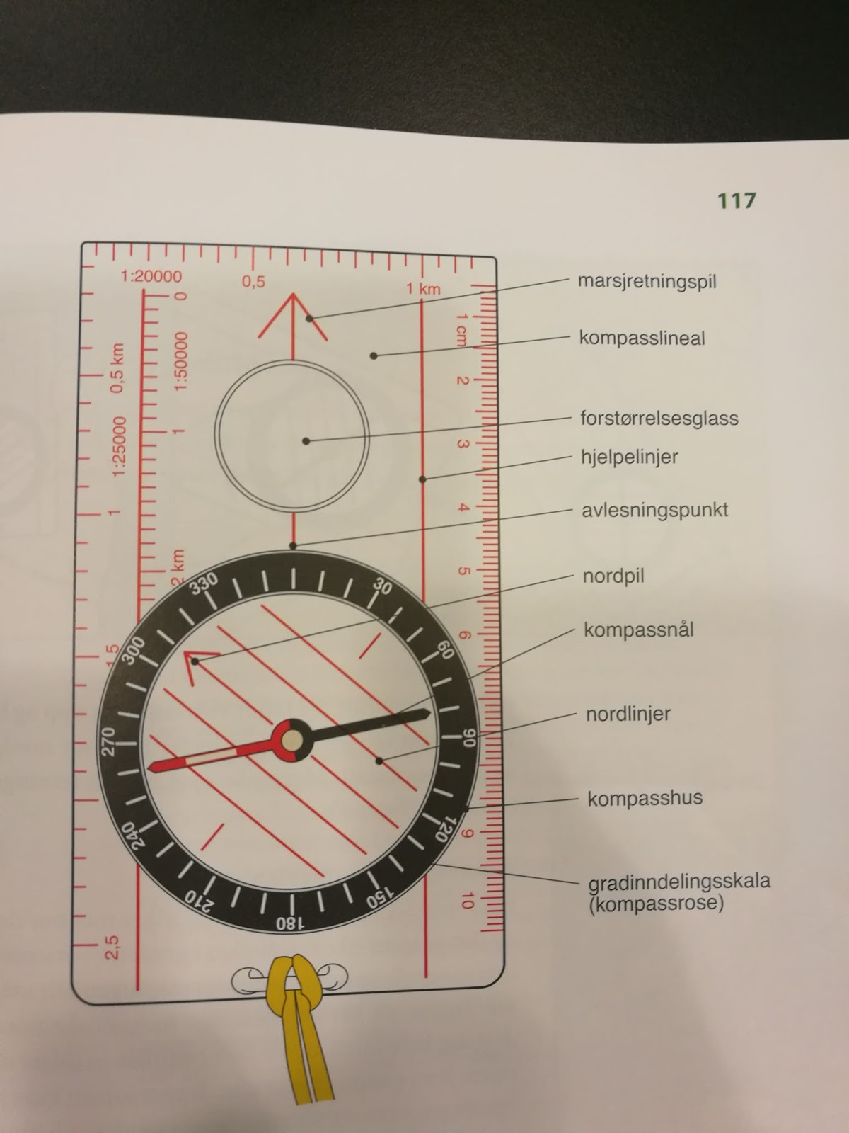 Turan som tælle : august 2018