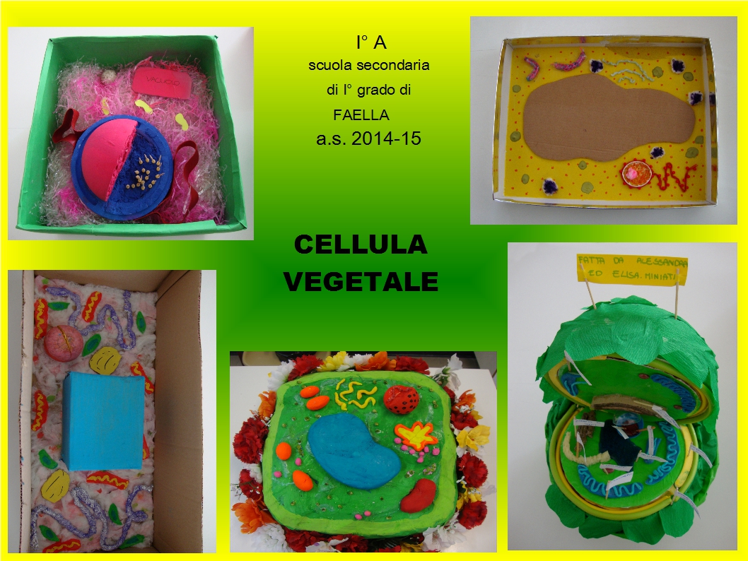 1, 2, 3 SCIENZA!!!: La CELLULA 1, 2, 3 SCIENZA!!!: La CELLULA
