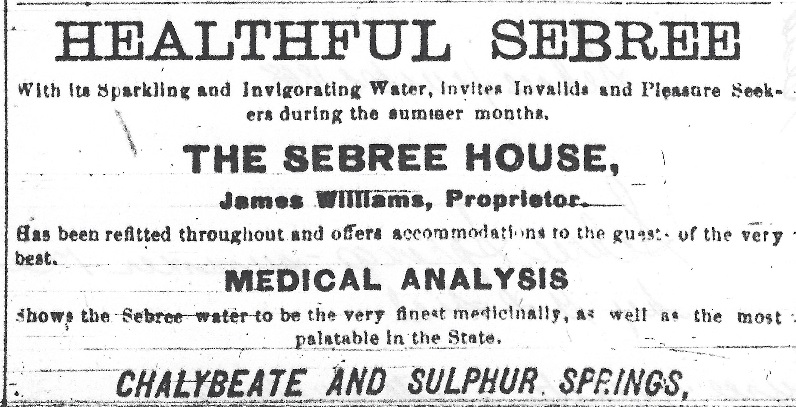 Western Kentucky Genealogy Blog: The Sebree House - Webster County ...