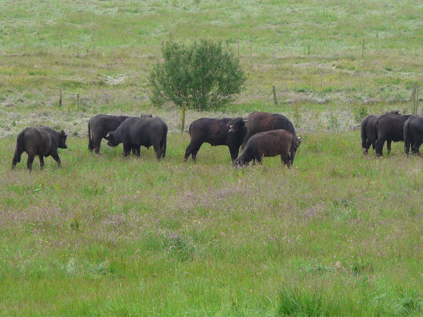 Blog de la 5e A de l'Institut Saint-Joseph de Neufchâteau: Visite de la ...