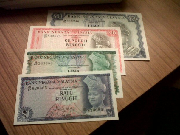 Aerleen J: The Malaysian Dollar (M$)