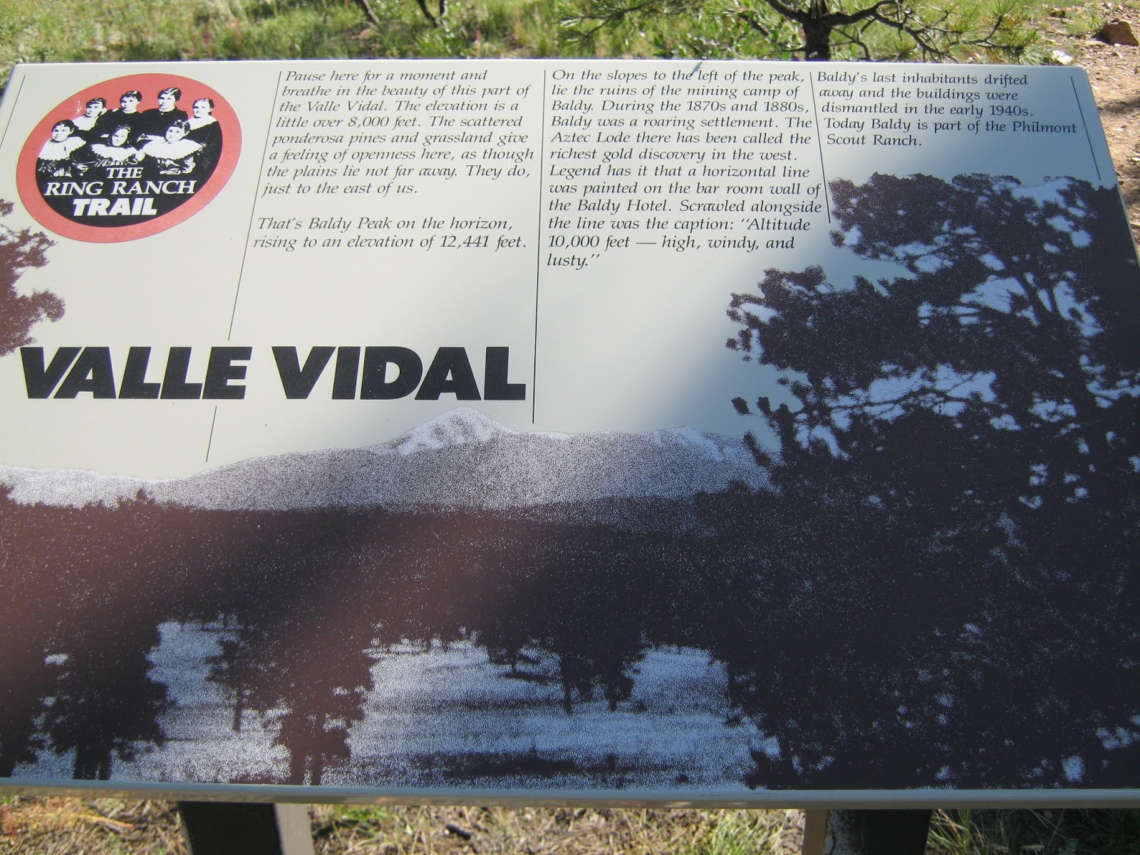 Highz's Ramblings: The Valley of Life