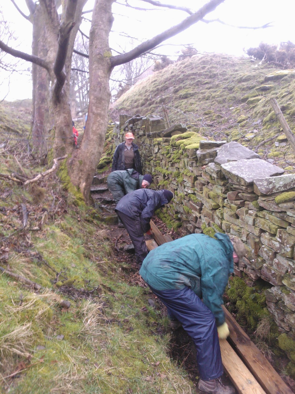 Nidderdale AONB Conservation Volunteers' Blog: Improving the path up to ...